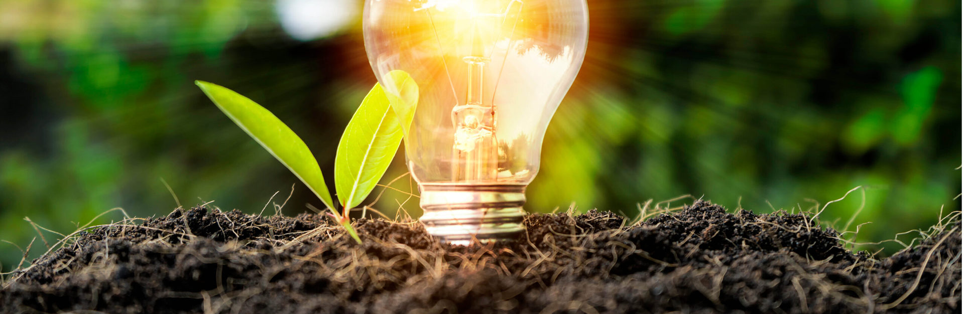 DIAL: Digital Innovations Awesome List (May 2020) - Basis Technologies