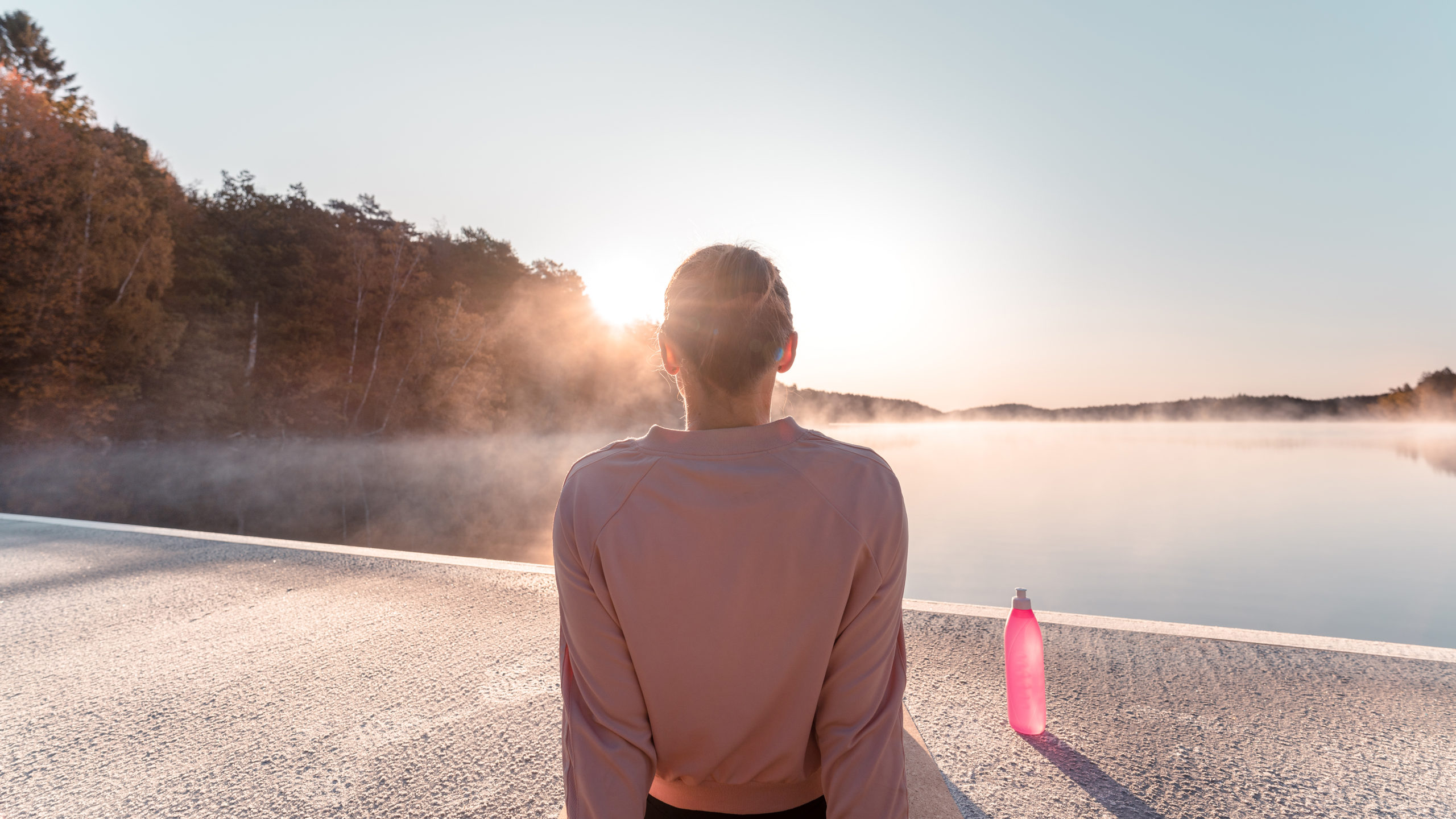 A Cohesive Digital Strategy Leads to an Impressive ROAS - Basis ...